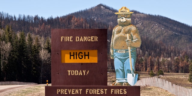 Smokey Bear, mascot of the US Forest Service, turns 75 | Fox News Smokey Bear, mascot of the US Forest Service, turns 75 | Fox News