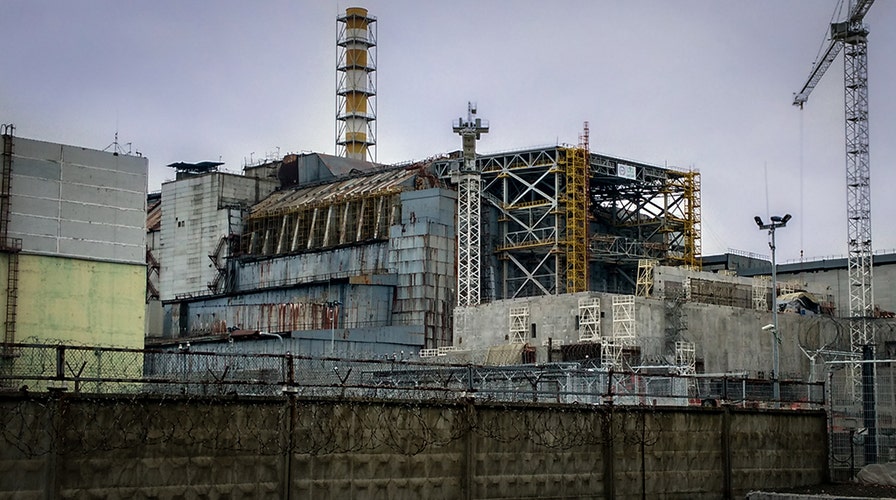 Chernobyl shocker as fungi that eats radiation found inside nuclear ... Chernobyl shocker as fungi that eats radiation found inside nuclear ...