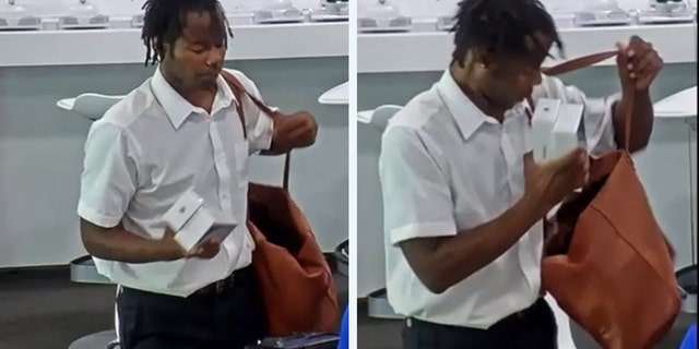 Shoplifter Fights Pepper Sprays Best Buy Employee Private Officer