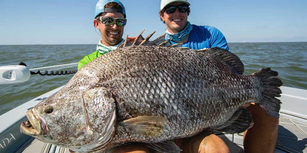 Biggest Saltwater Fish In The World