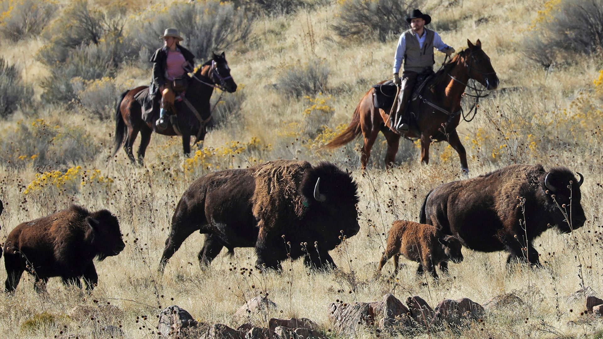 The week in pictures, Oct. 26 - Nov. 1 | Fox News