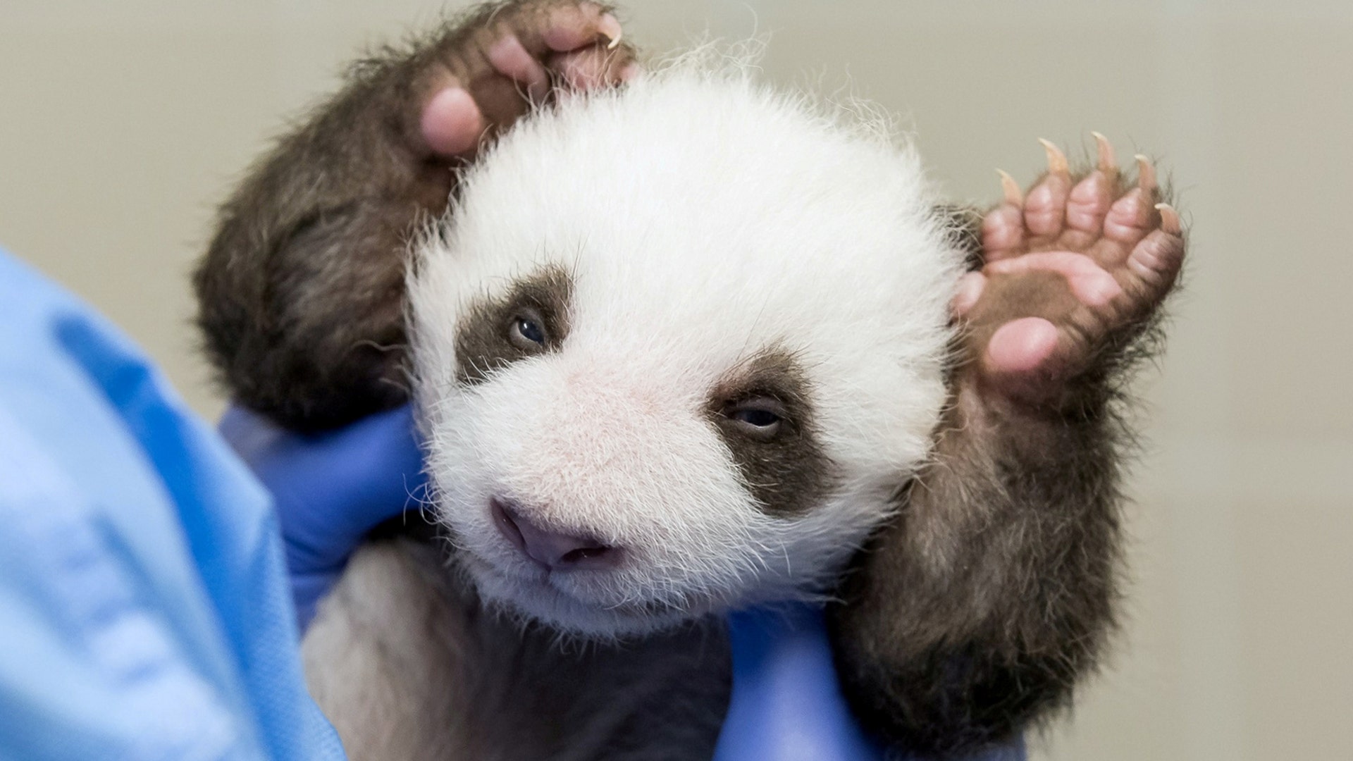 The week in pictures, Oct. 12 - Oct. 18 | Fox News