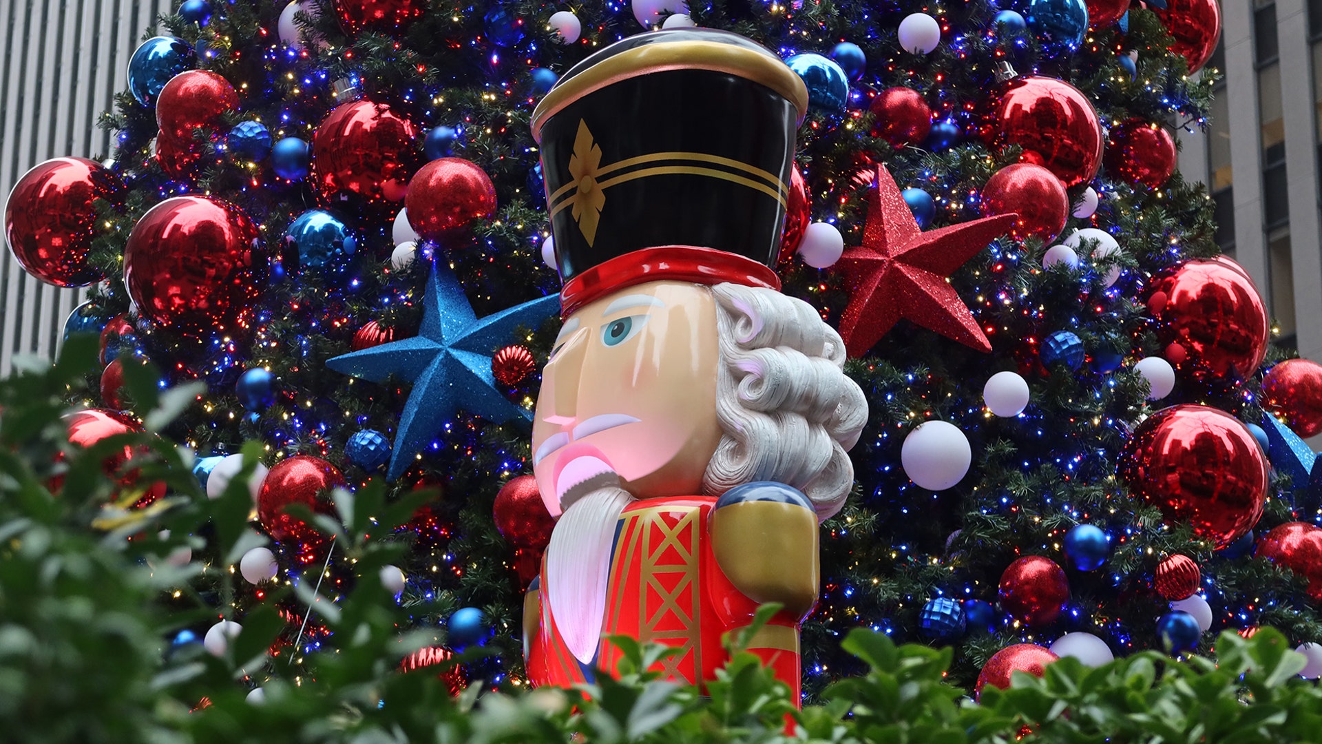 Pictures: Christmas in FOX Square brings holiday cheer | Fox News