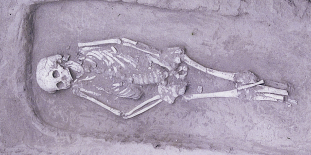 5,000-year-old human found with 'extremely rare' form of dwarfism | Fox ...