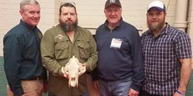 700-pound black bear shot in New Jersey sets world bow record | Long ...