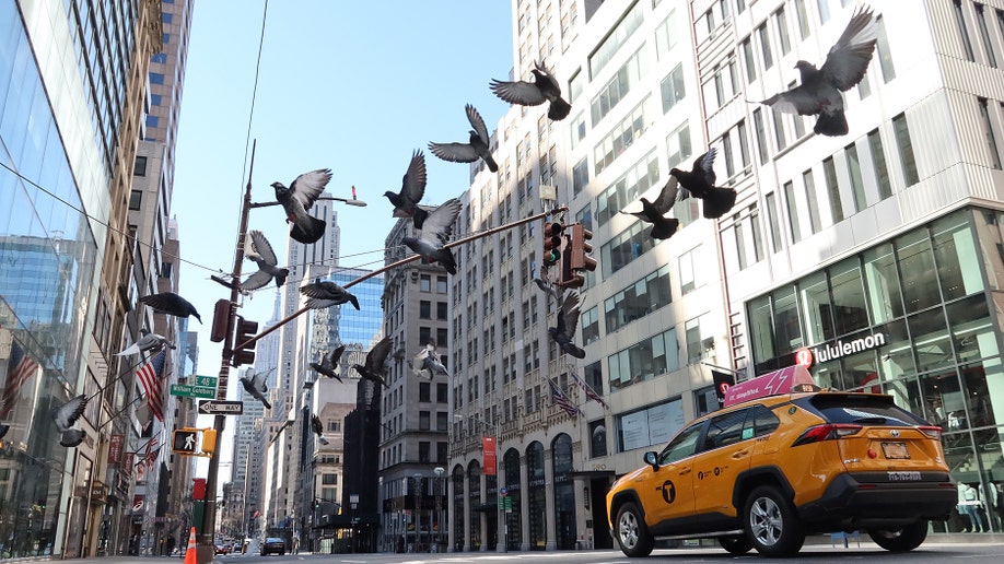 Pictures: New York City shuts down as coronavirus cases rise | Fox News Pictures: New York City shuts down as coronavirus cases rise | Fox News