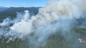 College Basketball | Fox News