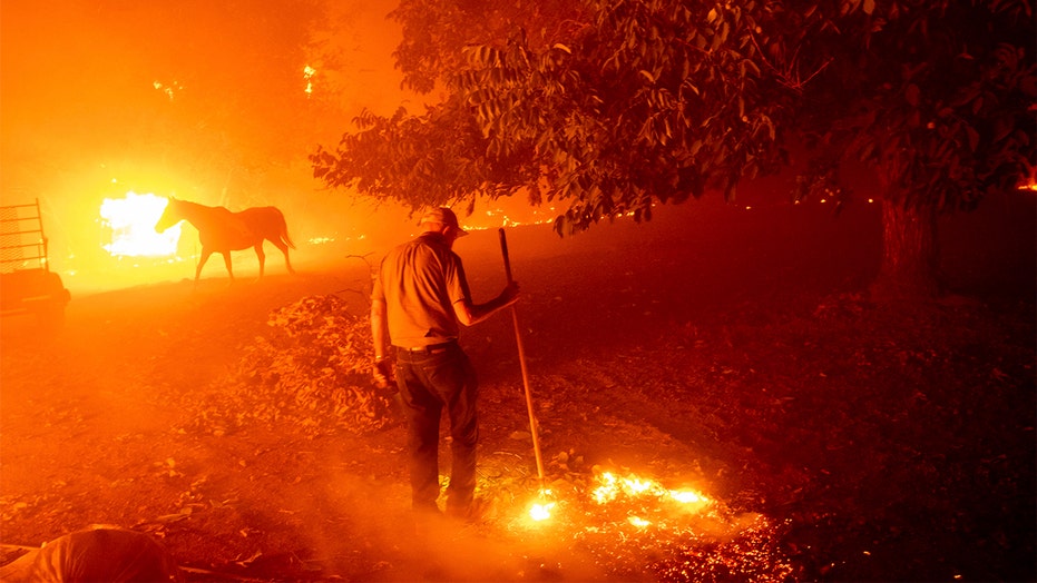 California Gov Newsom Says 367 Wildfires 23 Of Them Major Continue