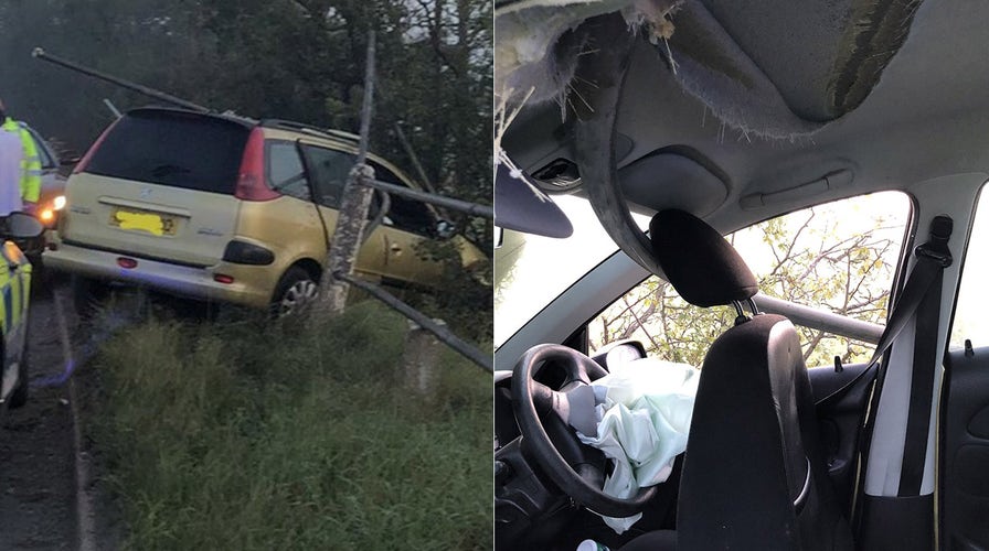 Driver survives as pole impales car during crash | Fox News