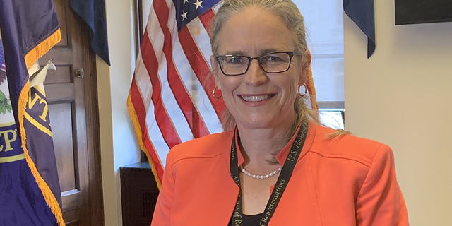 Georgia Rep.-elect Carolyn Bourdeaux, only Democrat to flip seat, says ... Georgia Rep.-elect Carolyn Bourdeaux, only Democrat to flip seat, says ...