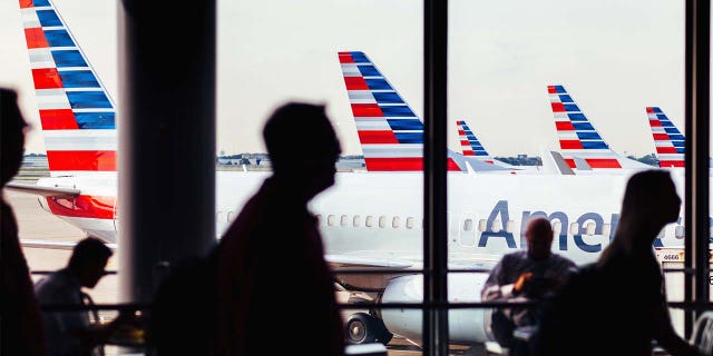 American Airlines Bans Woman Who Was Filmed Defying Mask Mandate