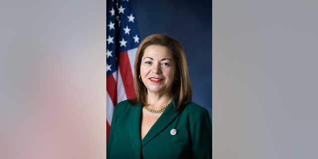 Dem rep says it's not 'appropriate' for reporters to see inside border ...