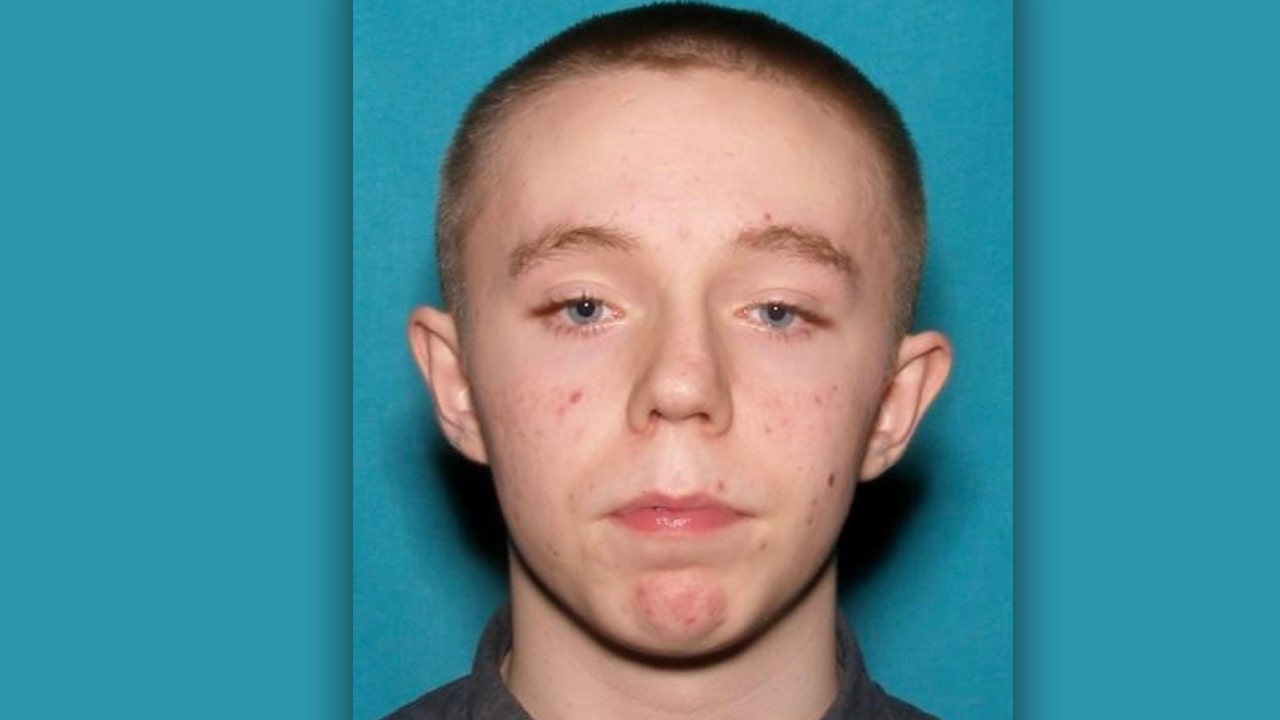 brandon the tiny pony