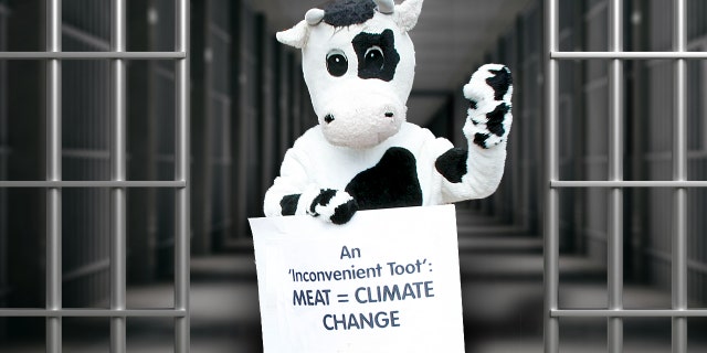 Climate change increases 'domestic violence’ risks for women ...