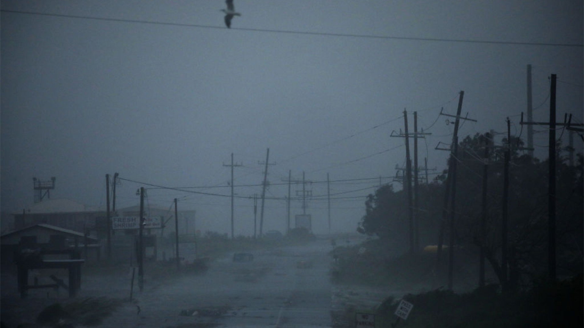 See Pics Monster Hurricane Ida Slams Us Leaves Louisiana Underwater