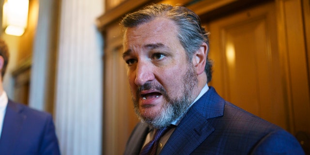 Ted Cruz says he is leading effort to 'stop every dumb--- thing' Biden ...