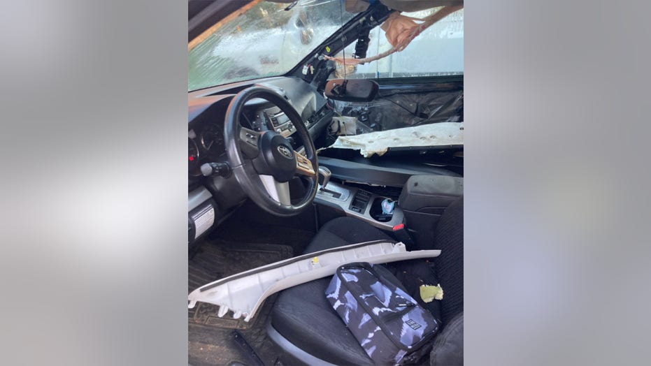 Bear gets trapped in car, destroys interior | Fox News
