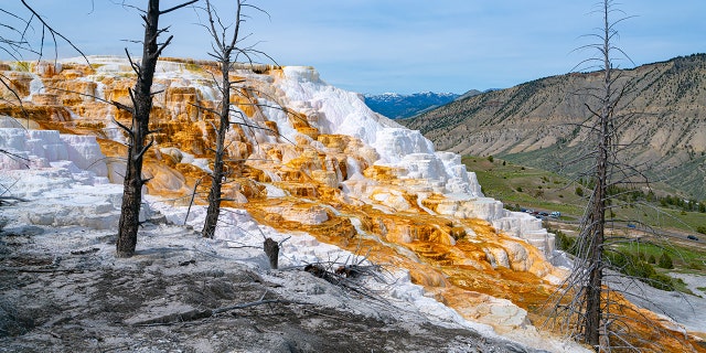 Yellowstone treasure hunter's appeal of $2,880 rescue restitution order ...