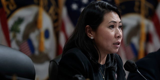 Retiring Florida Democrat hits out at leadership for promising ...