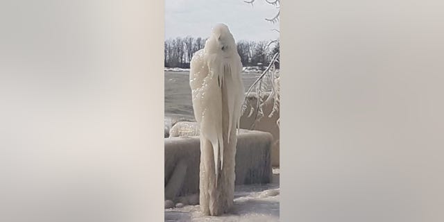 Creepy ice formations appear after winter storm | Fox News