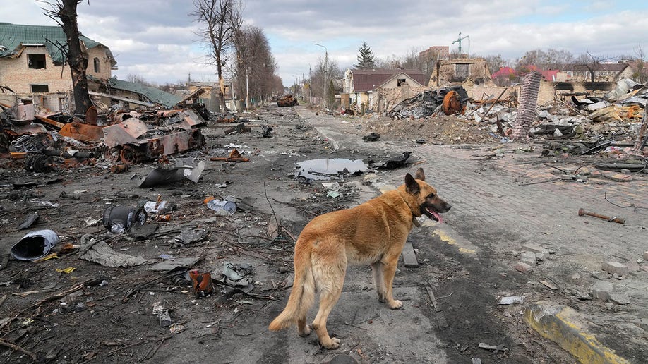 More Photos From Ukraine Russia War Massacre In Bucha Devastation In