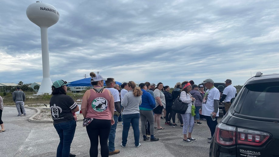Missing Florida Mom Cassie Carli Dozens Of Volunteers Join Day 6 Of