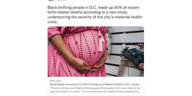 Liberal outlet flamed for using term 'birthing people' to describe ...