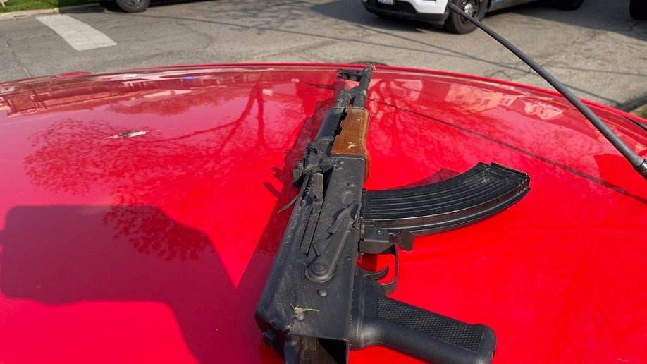 Chicago Mass Shooting Man Charged With Attacking Police Officers After