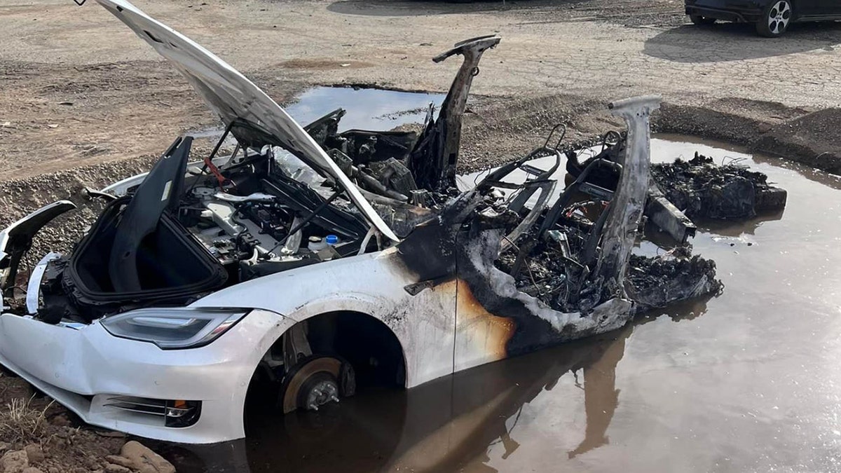 Tesla model s plaid fire store