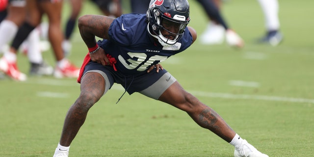 Texans' Darius Anderson faces felony criminal offense, initial charge ...