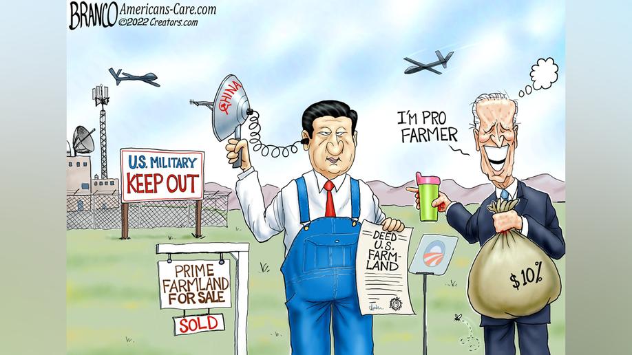 US Political Cartoons - Foreign Affairs (74) - Nigeria