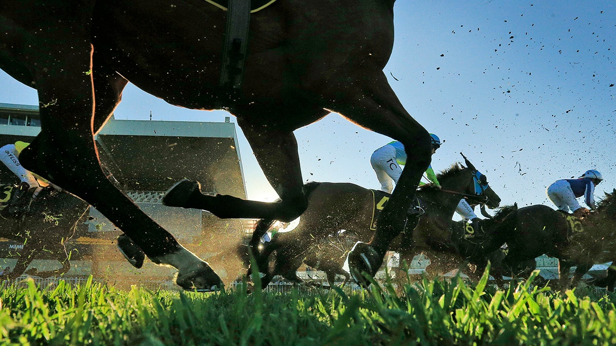 History of the Triple Crown series: Fastest Preakness Stakes race times ...