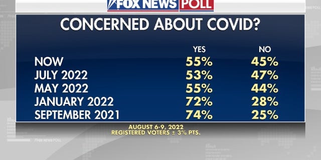 Fox News Poll: More concern over coronavirus than monkeypox | Fox News