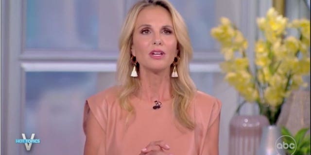 Whoopi Goldberg tells Elisabeth Hasselbeck she was her 'first ...