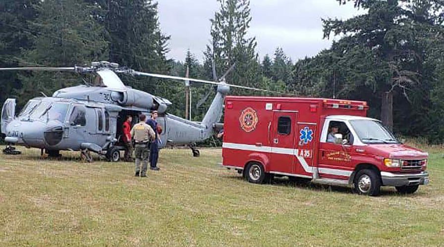 Pilot Dies After Small Plane Crashes In Washington State Forest Fox News
