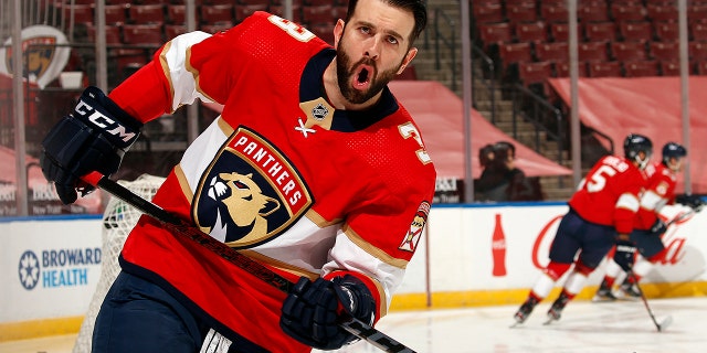 3 NHL stars announce their retirements on same day | Fox News