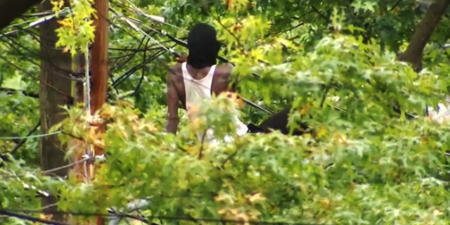 Man fires shots, exposes himself and climbs wires in DC prior to arrest ... Man fires shots, exposes himself and climbs wires in DC prior to arrest ...