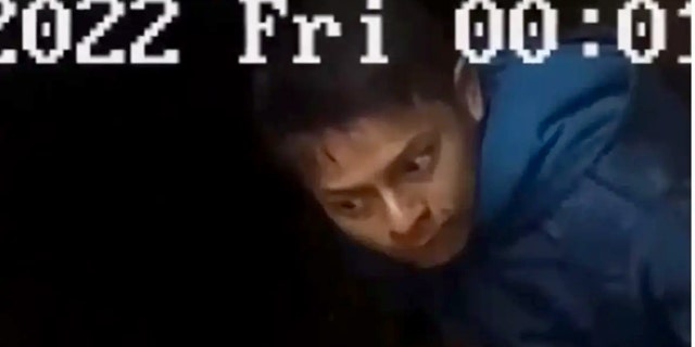 Shotgun Wielding Robber Steals From A Dozen Houston Food Trucks Report