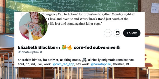 Ohio superintendent defends bringing 'anarchist bimbo' who posted about ...