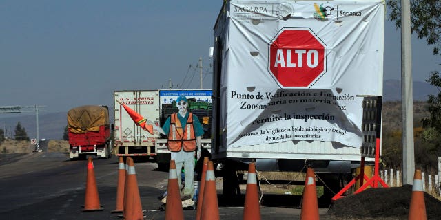 Mexico discovers H5N1 bird flu near US border | Fox News