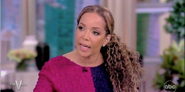 The View Host Sunny Hostin Says Gov Desantis Knows Crt Is Not Real