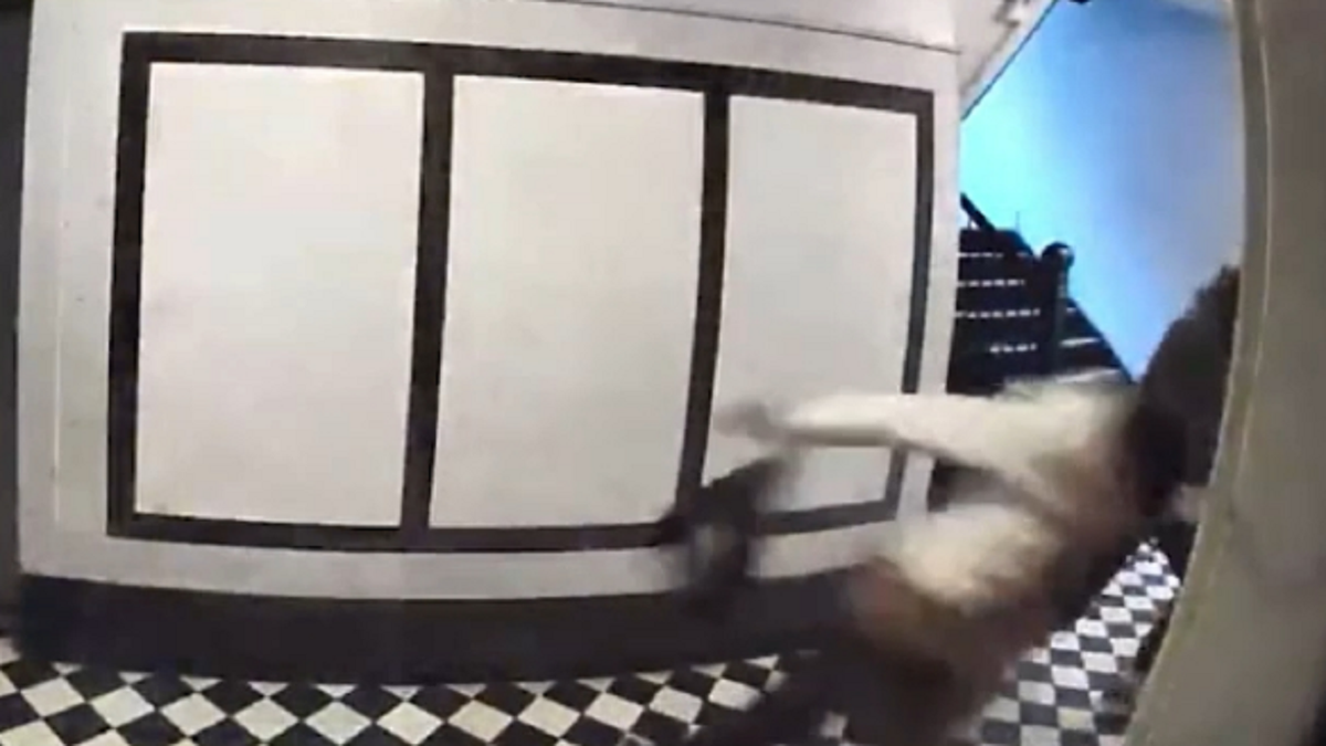 Video shows NYC woman, 77, being thrown to ground during robbery inside ... Video shows NYC woman, 77, being thrown to ground during robbery inside ...
