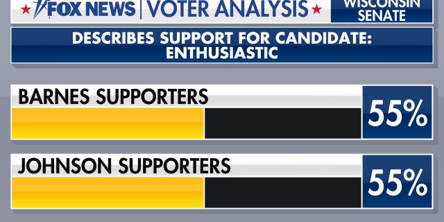 Fox News Voter Analysis: How Wisconsin Sen. Ron Johnson secured his re-election | Fox News