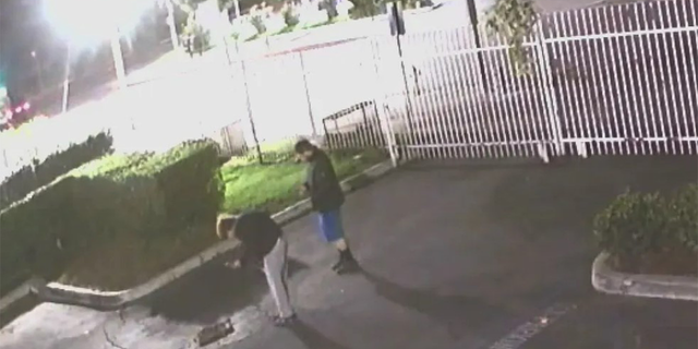 Two Men Captured On Video Killing Mutilating Cat In California Fox News