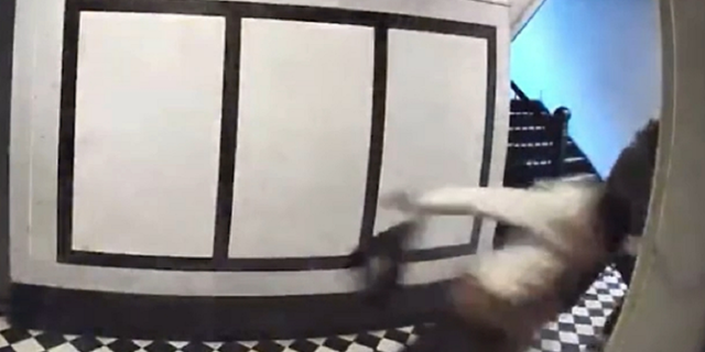 Video Shows Nyc Woman 77 Being Thrown To Ground During Robbery Inside