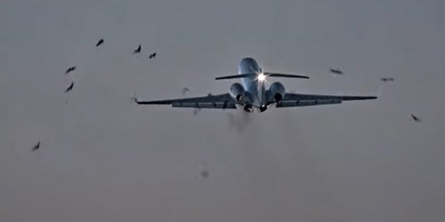 National Guard chief's military plane returns to Chicago airport after ...