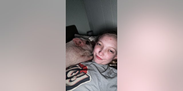 Pig hogs bed in Georgia woman's home: 'She steals my pillow' | Fox News