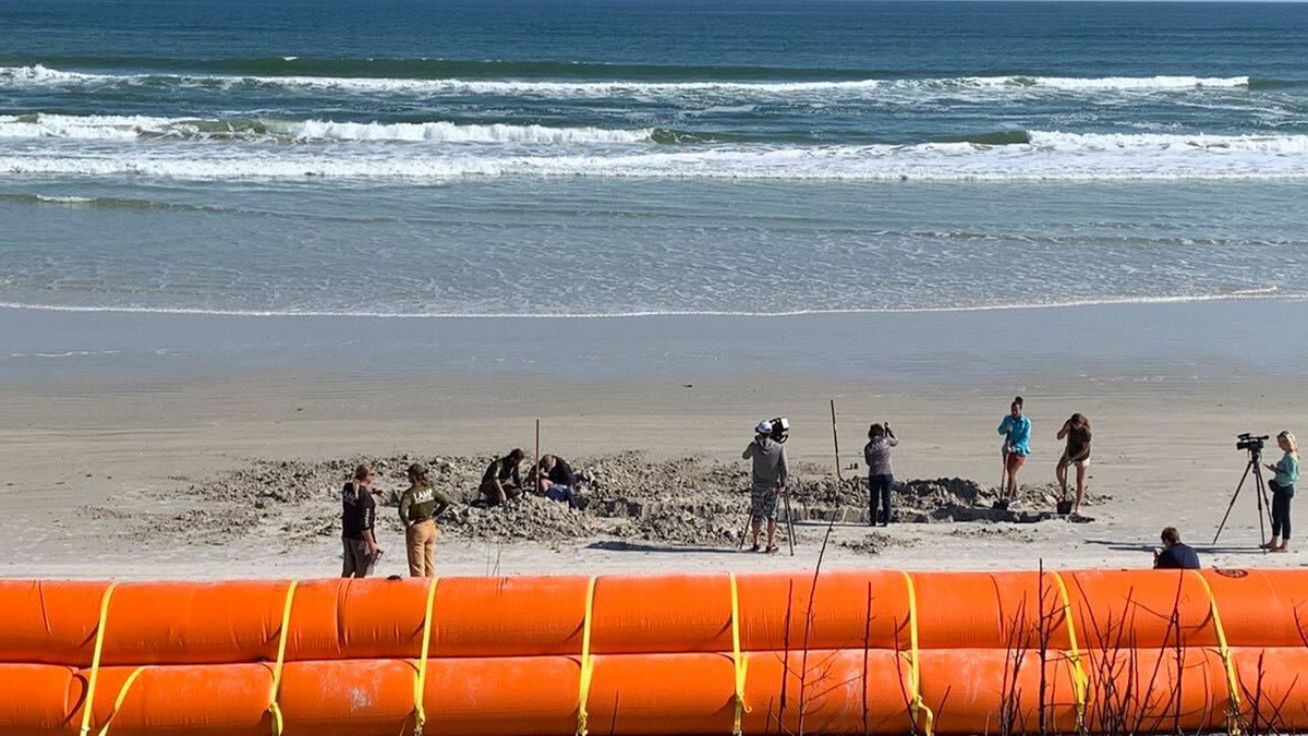 Florida beach's mystery debris uncovered by Hurricane Nicole likely ... Florida beach's mystery debris uncovered by Hurricane Nicole likely ...