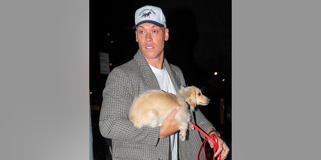 Yankees name Aaron Judge captain as slugger braves cold weather with ...