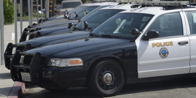 Suspect In California Flag Burning Spree Held On 3 25m Bail For Arson